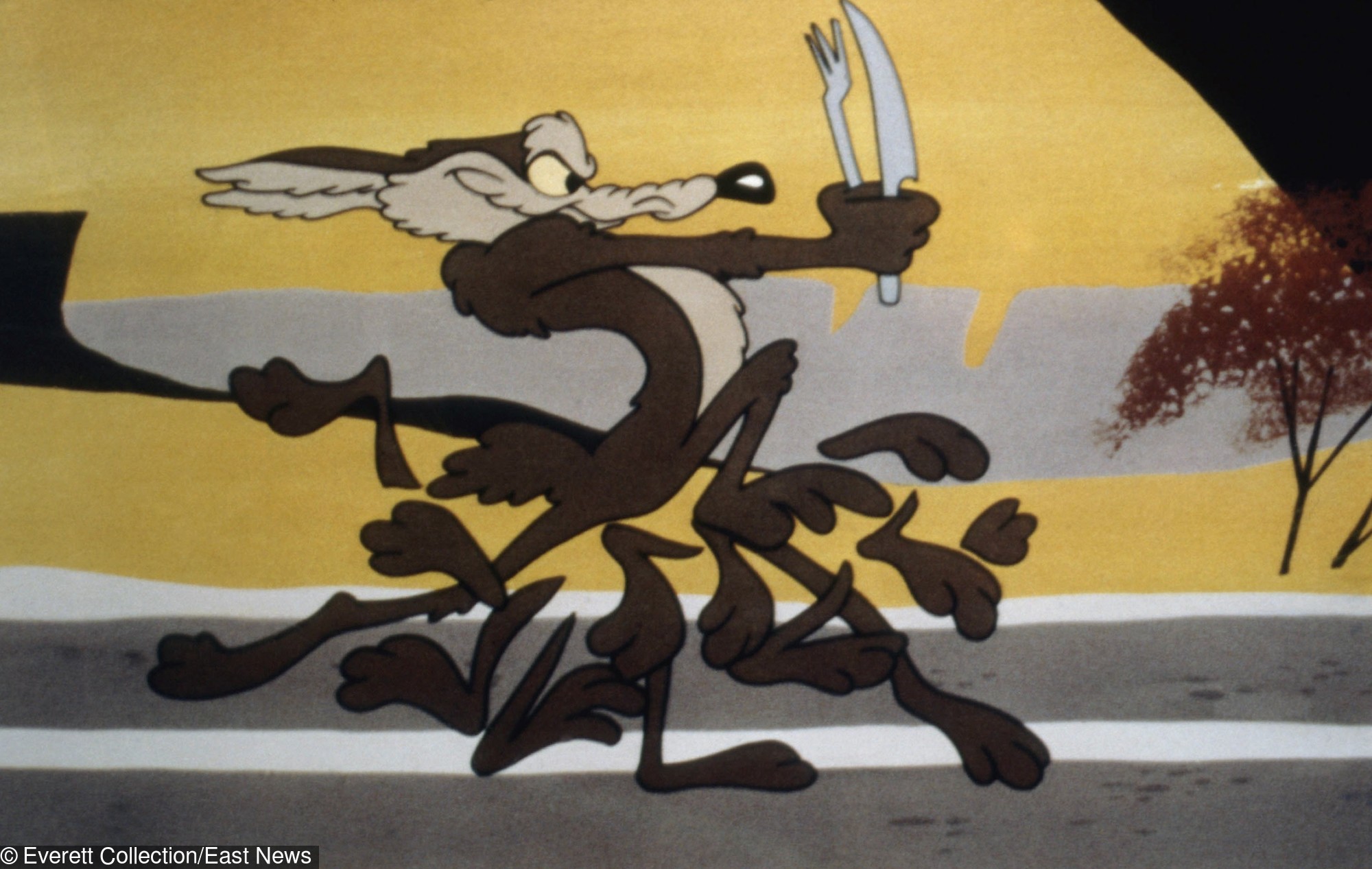 Wiluś E. – najbardziej znany kojot dostanie własny film! - WP Film