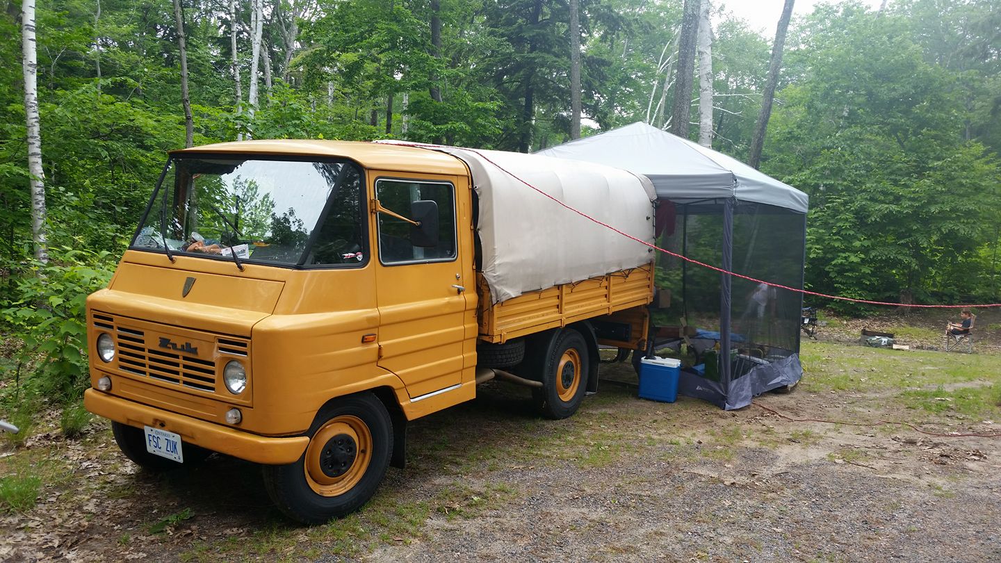 Kempingowy żuk tysiące kilometrów od Polski. Nie zgadniesz, gdzie go ...